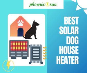 Ultimate Solar Dog House Heater Guide (Products Included)