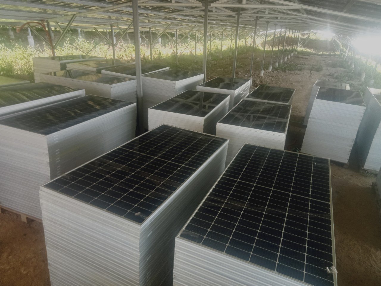 How Many Solar Panels Do I Need for 1mw?